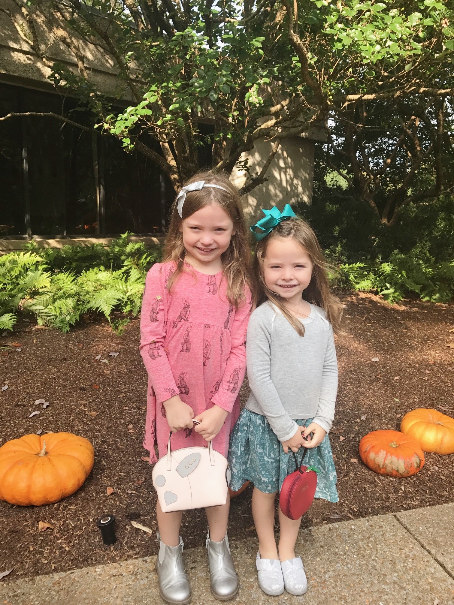 Life with Caroline and Carson... The Daily Edited Mini Collection ...