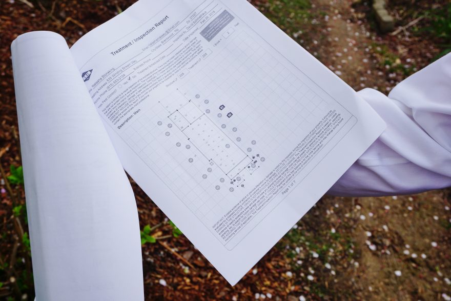 Spring Cleaning... Protecting Your Home with Orkin | Hello! Happiness