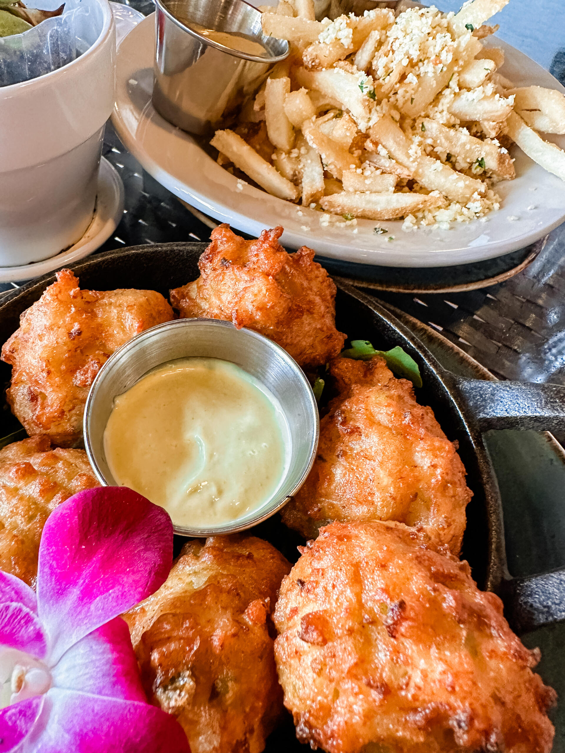 spring break in islamorada, florida | Hello! Happiness