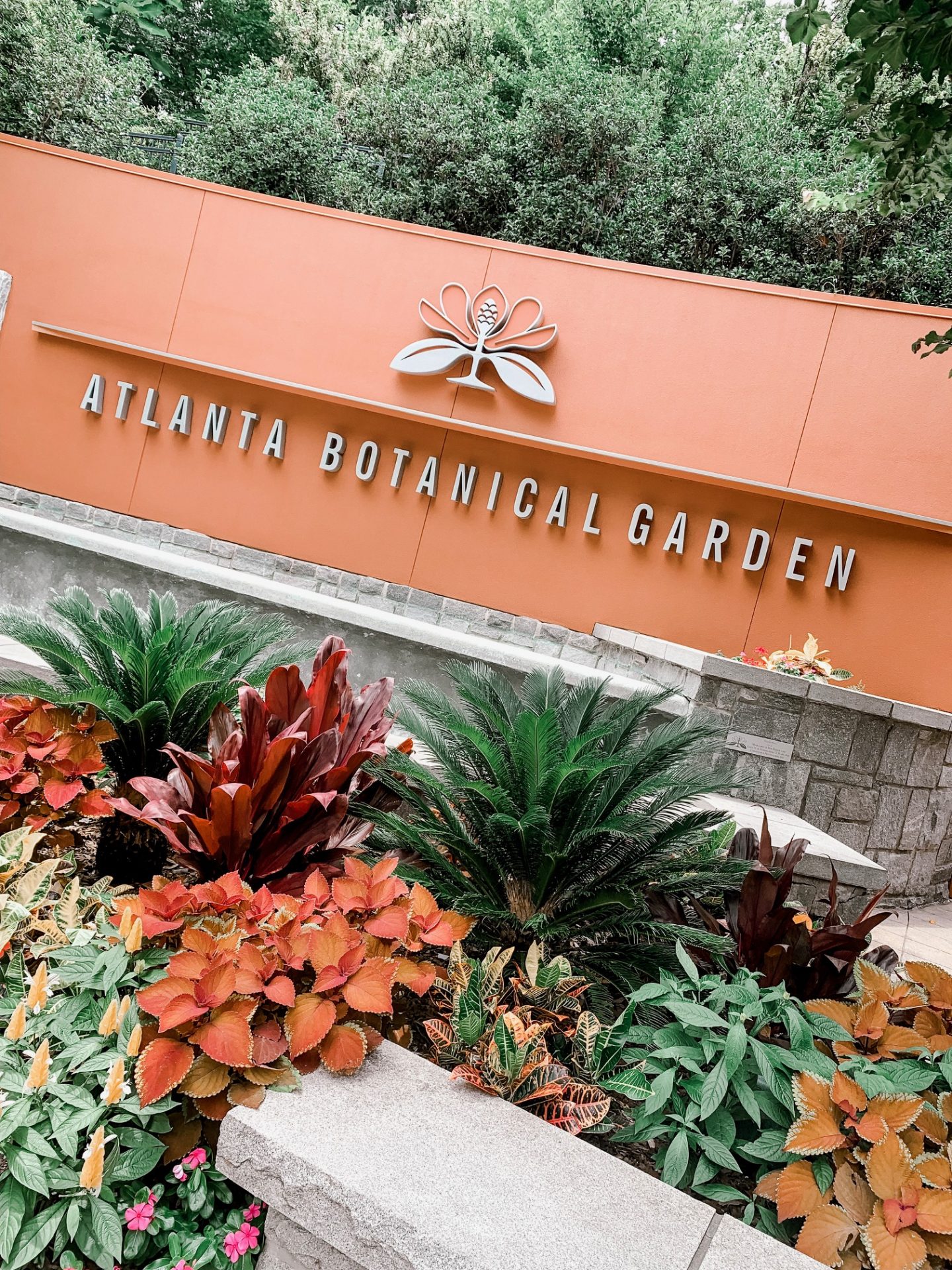 Family Fun in Atlanta... The Perfect Summer Getaway! | Hello! Happiness